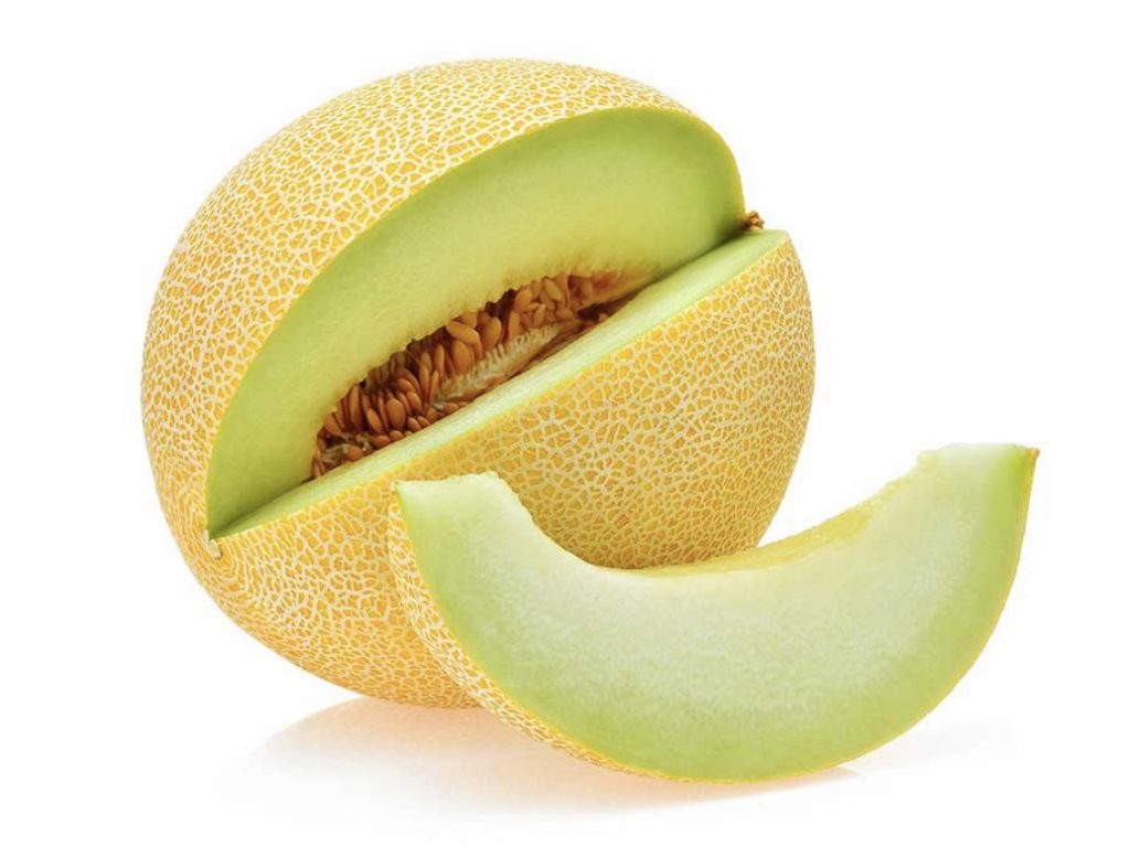 Tipos de melón. Variedades - Blog mentta