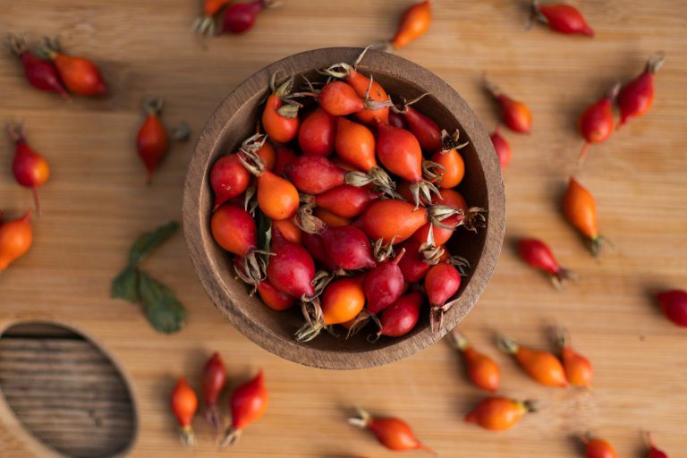 Rosehip: origin, benefits, and culinary uses - Blog mentta