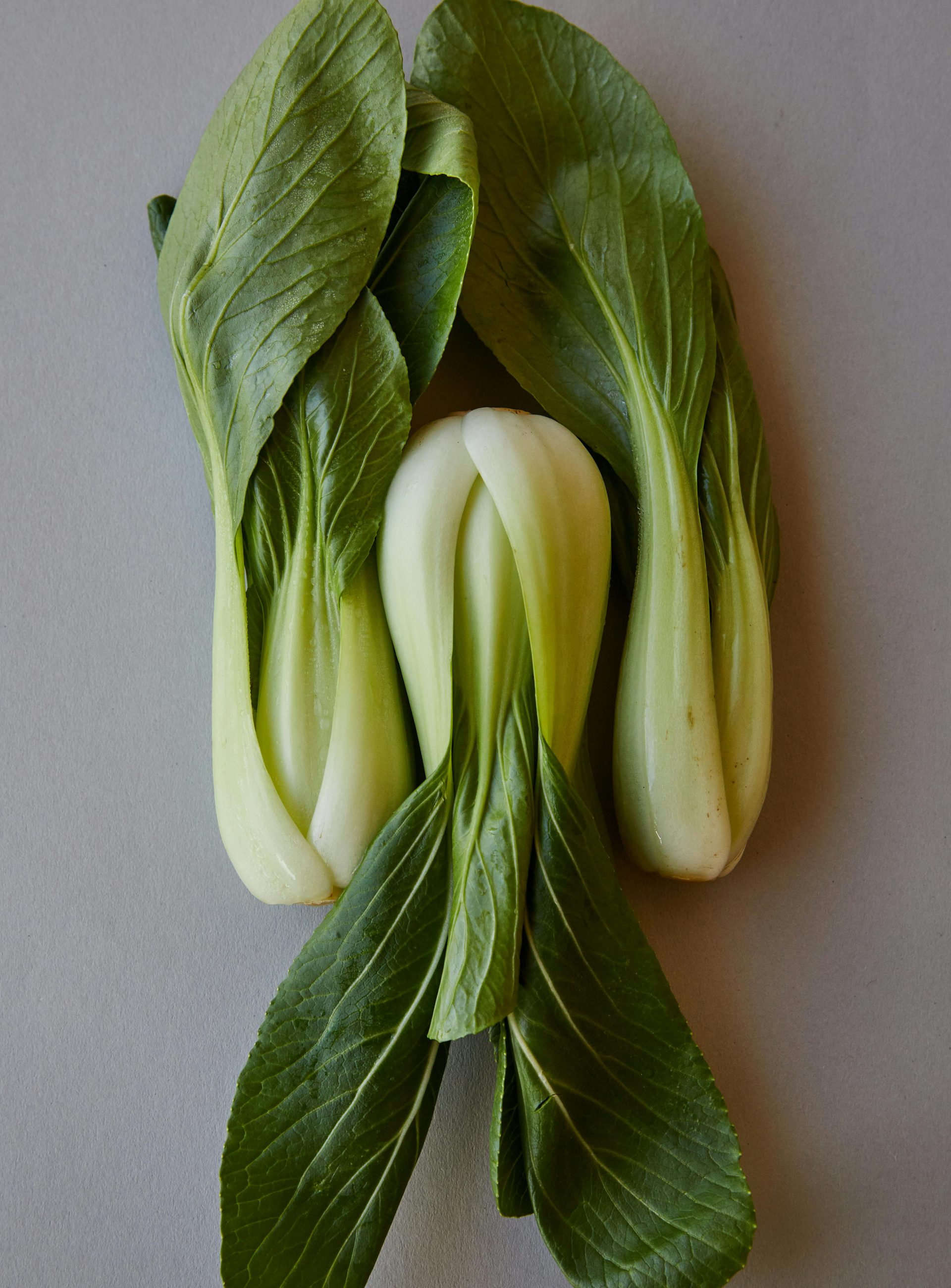 What is Pak Choi? The asian chard - Blog mentta